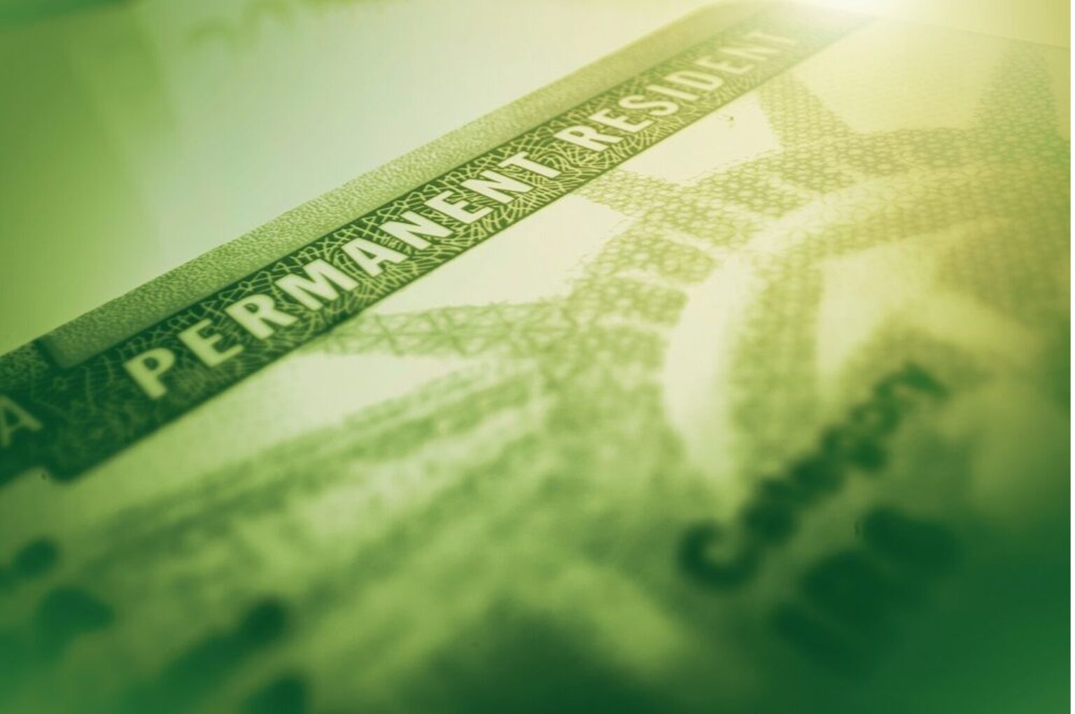 Tarjeta verde por matrimonio: lo esencial | Genova Law