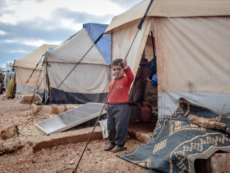 All You Need to Know About Temporary Protected Service (TPS)